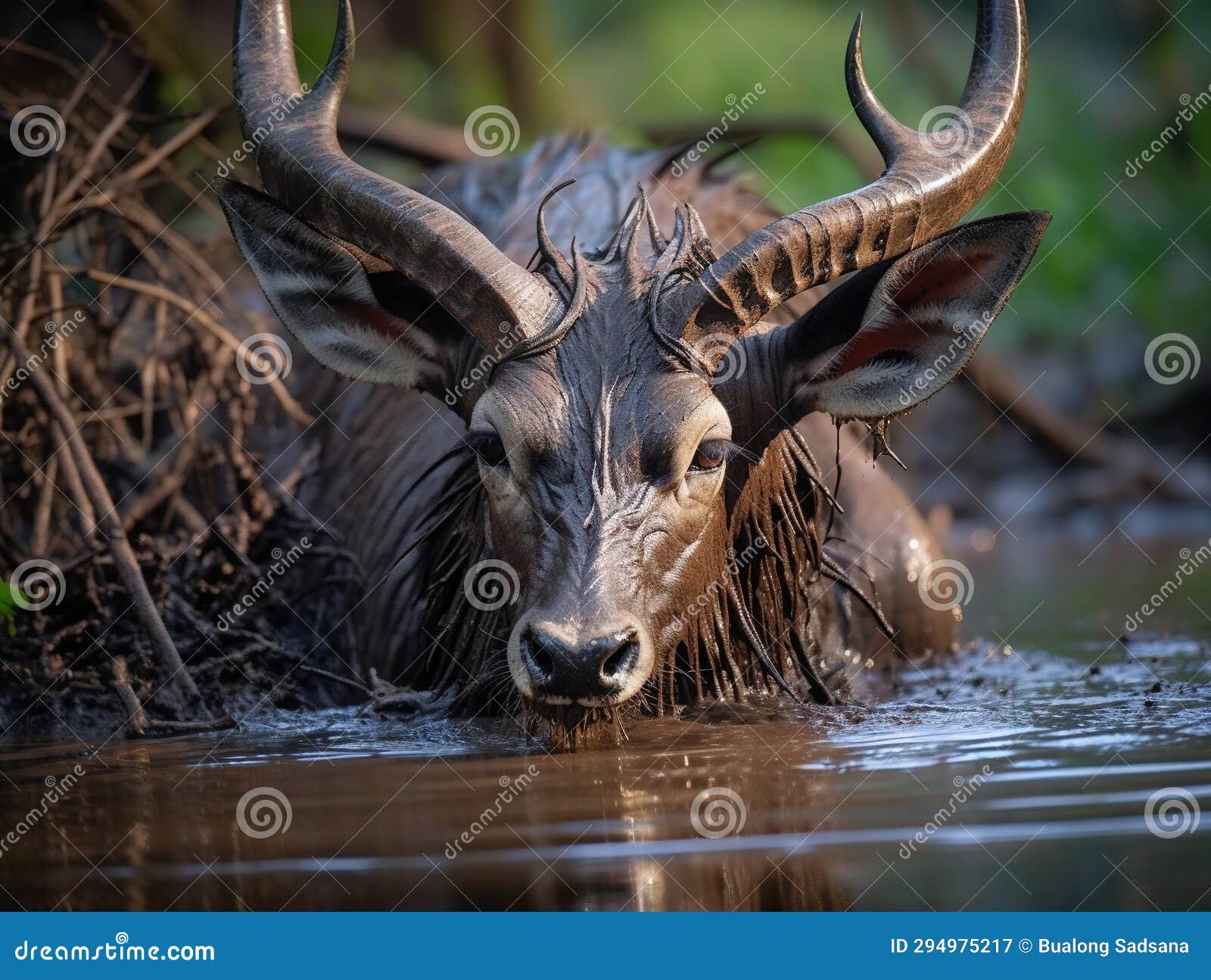 Nyala Cartoons, Illustrations & Vector Stock Images - 435 Pictures to ...