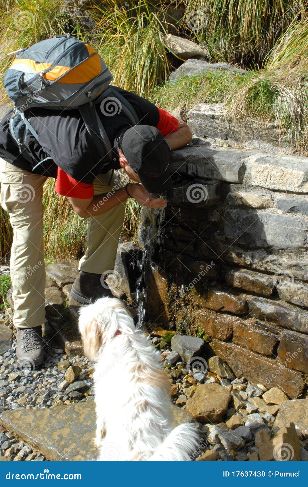Drinking Refreshing Spring Water Stock Photo - Image of fresch, hiking ...