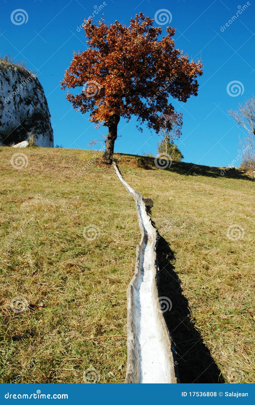 Drinking-trough for Animals and Lonely Tree Stock Photo - Image of ...