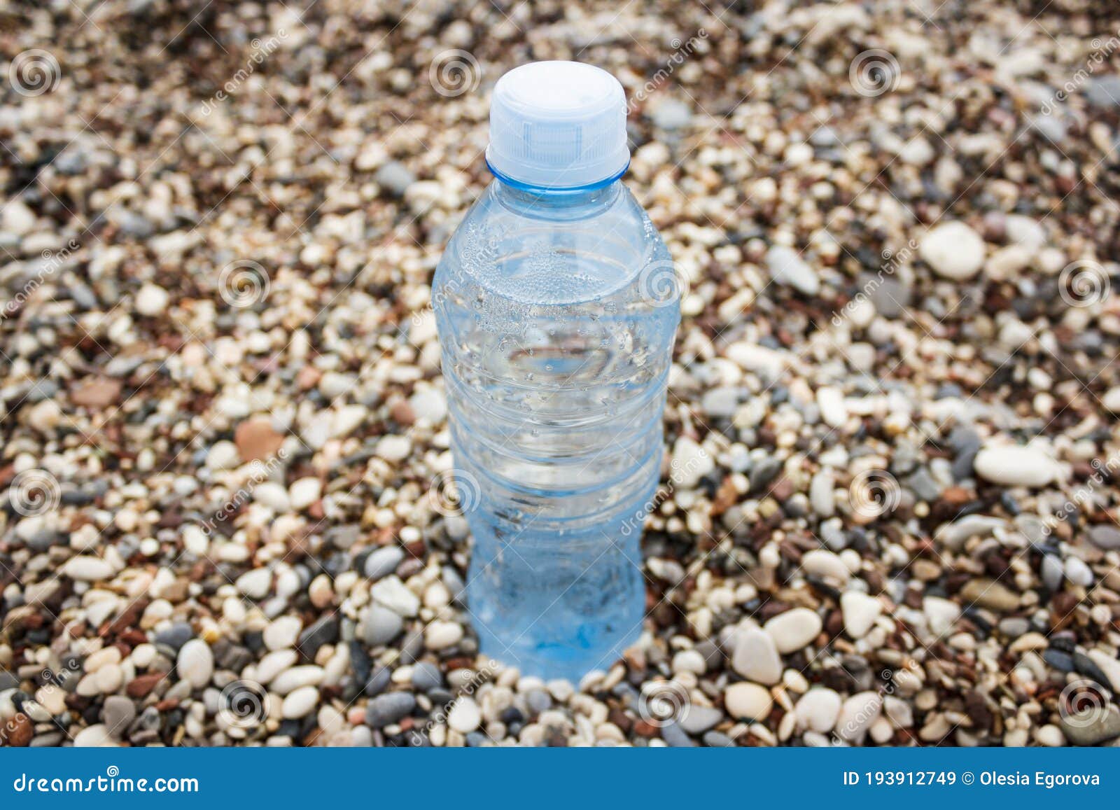 Drinking Water in Bottle Standing on the Pebble Beach Stock Image ...