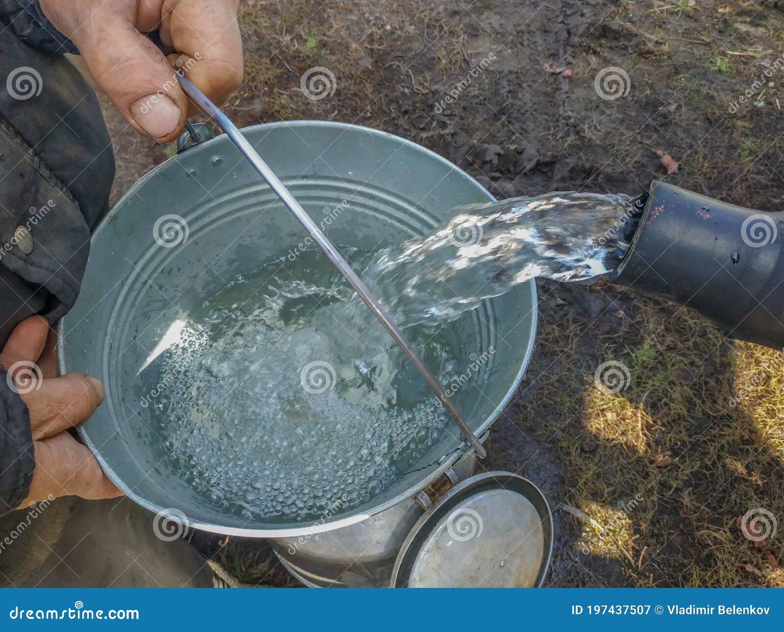 Drinking water in a bucket stock image. Image of produce - 197437507