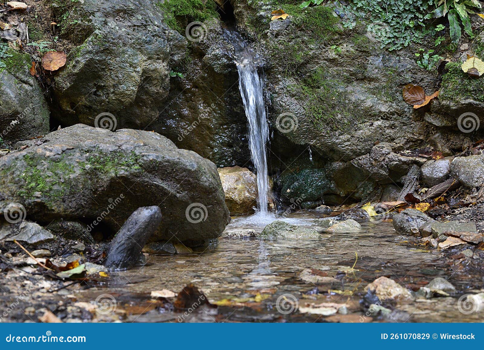 Source of Drinking Water in the Forest Stock Image - Image of forest ...