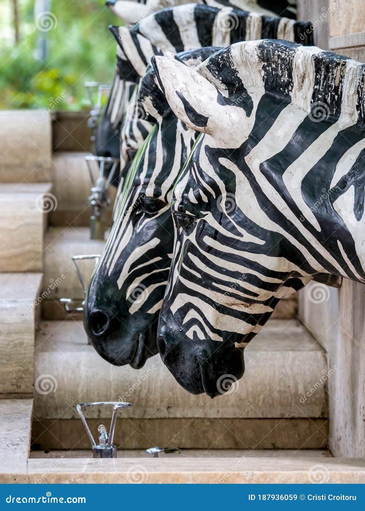 Drinking Water Taps or Fountain with Zebra Heads Stock Image - Image of ...
