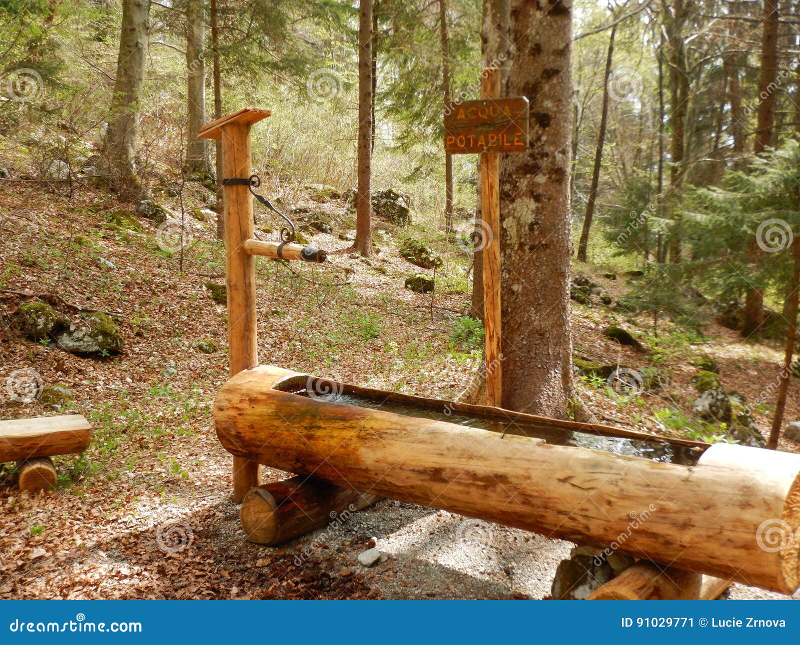 Drinking Water Wooden Pipe on a Hiking Trail Stock Image - Image of ...