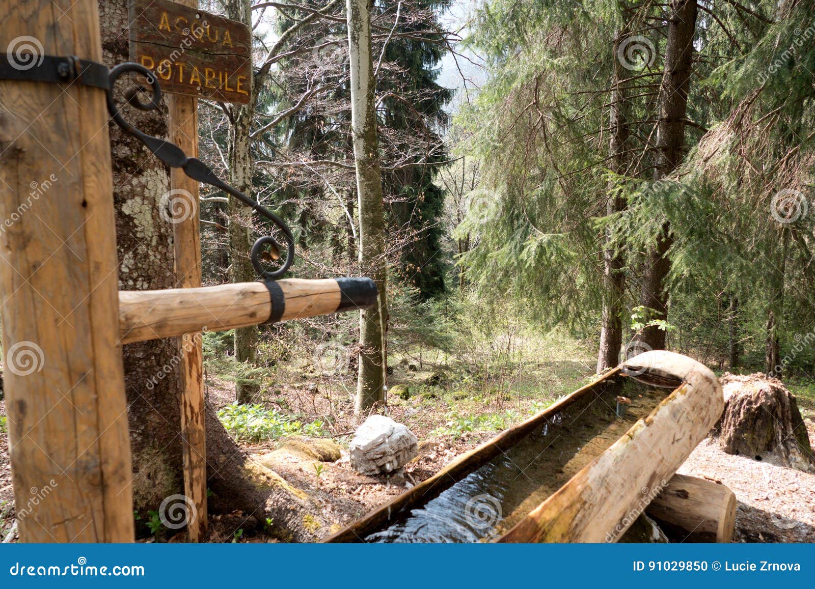 Drinking Water Wooden Pipe on a Hiking Trail Stock Photo - Image of ...