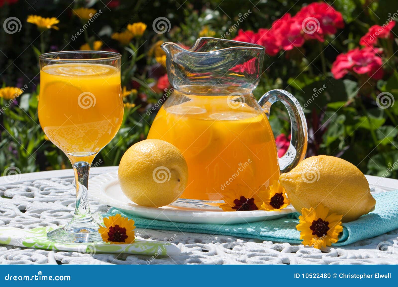 Drinks in the Garden stock photo. Image of refreshment - 10522480