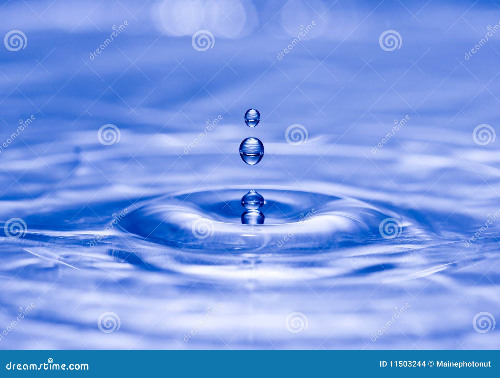 Drip Drop stock photo. Image of backgrounds, rain, raindrop - 11503244