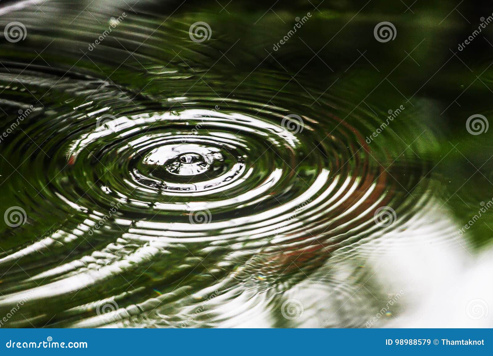 The Water As the Waves Spread Out Over the Circle is Caused by ...