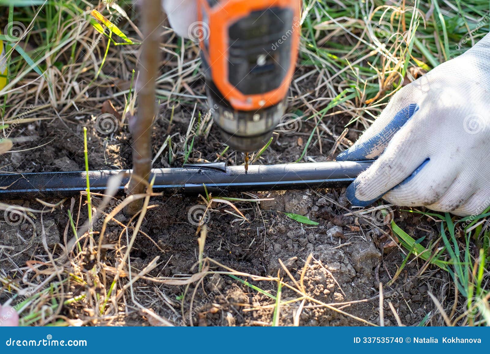 Drip Irrigation. Drilling a Hole in a Polypropylene Pipe To Install a ...