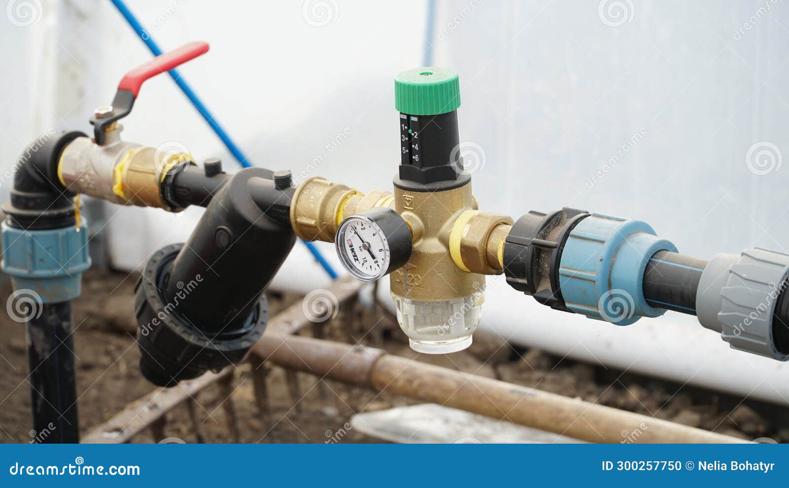 Drip Irrigation. Green Seedlings Growing in the Drip System Stock Photo ...