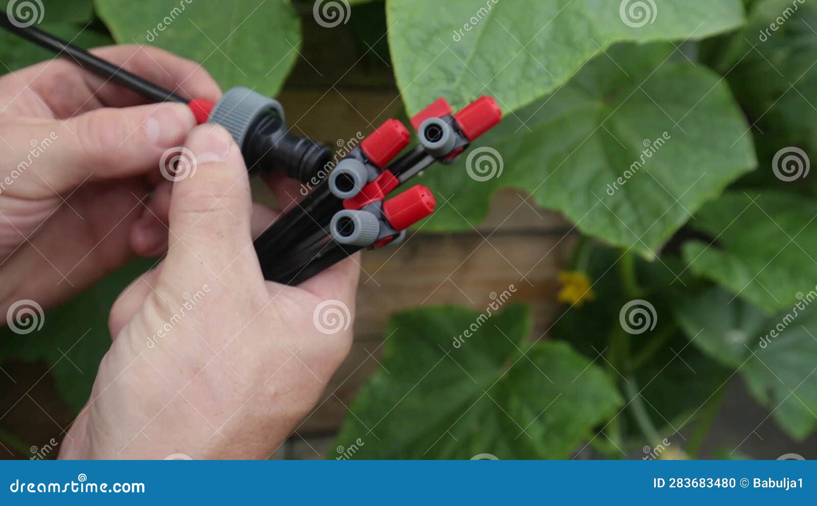 Drip Irrigation Installation. Process of Assembling a Drip Irrigation ...