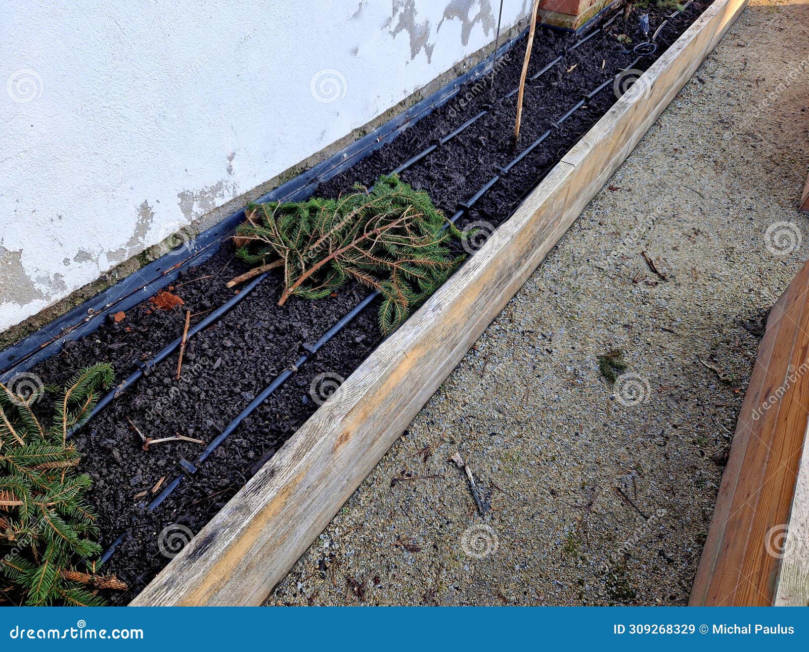 Drip Irrigation Method, Also Called Drop by Drop Irrigation, and Stock ...