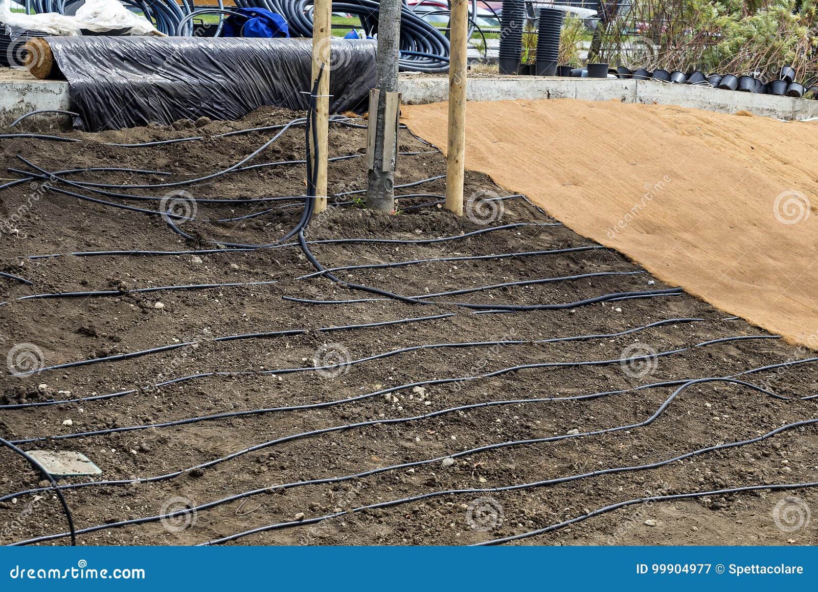 Drip Irrigation for Plants, Installing Drip Irrigation System Stock ...