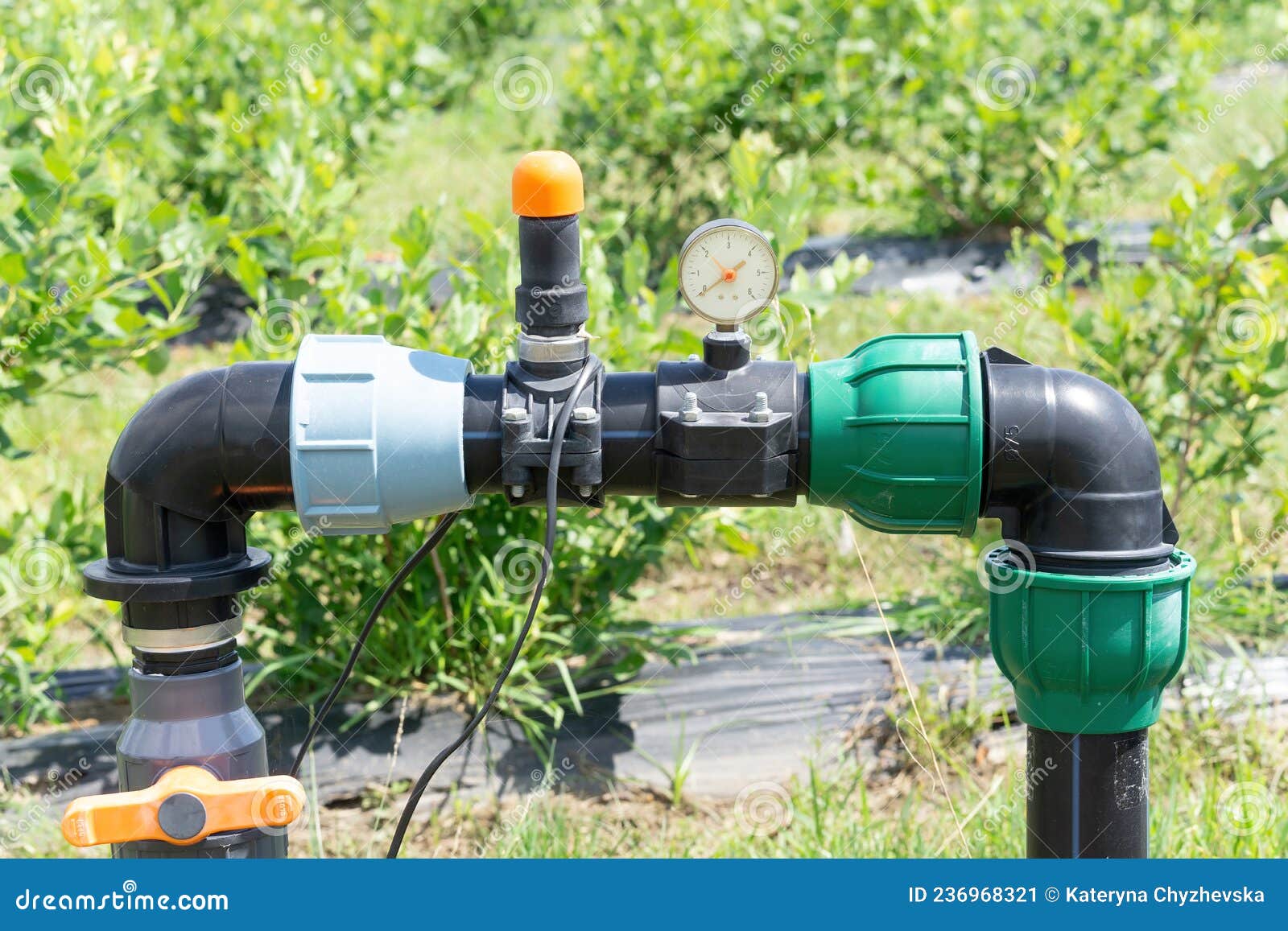 Drip Irrigation System Elements Stock Image - Image of bushes, farm ...