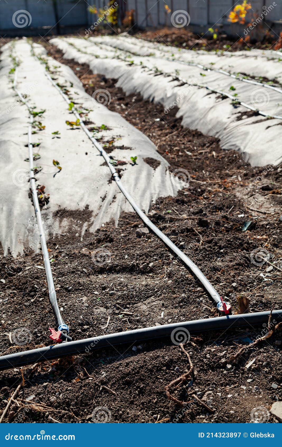 Parallel, Long Ski Chair Lift Cable Lines In Les Sybelles, France, On A Sunny Bright Day With ...