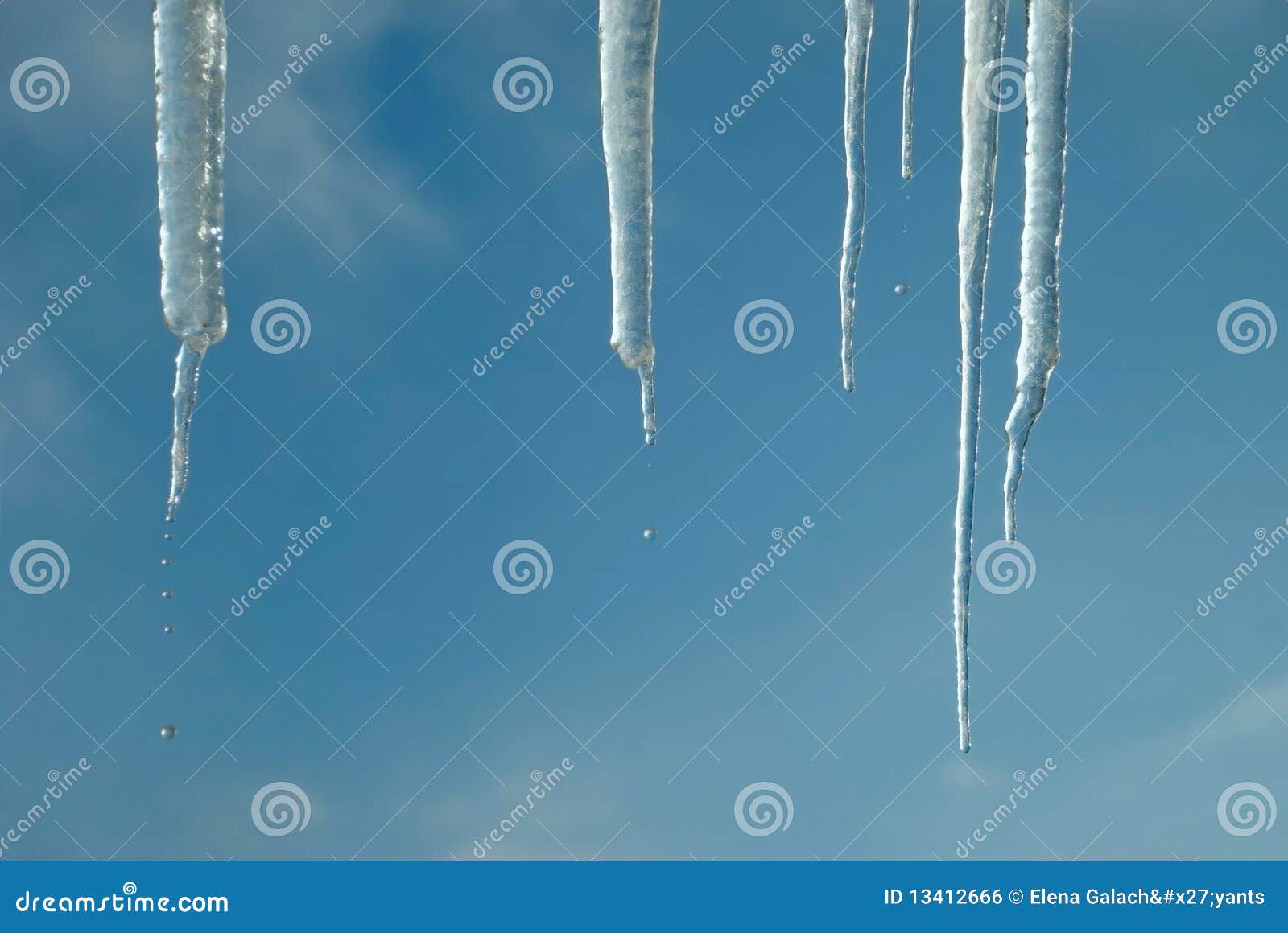 Drip of thawing snow stock photo. Image of dripping, melt - 13412666