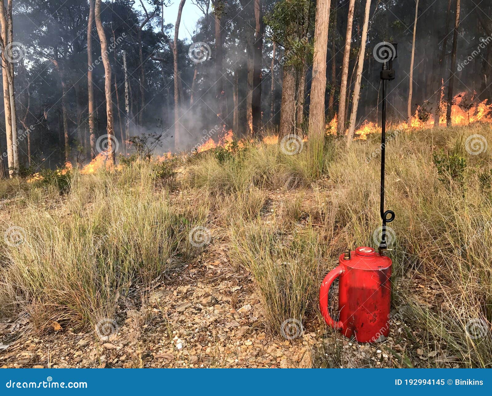 Drip Torch with Fire stock image. Image of torch, firefighter - 192994145