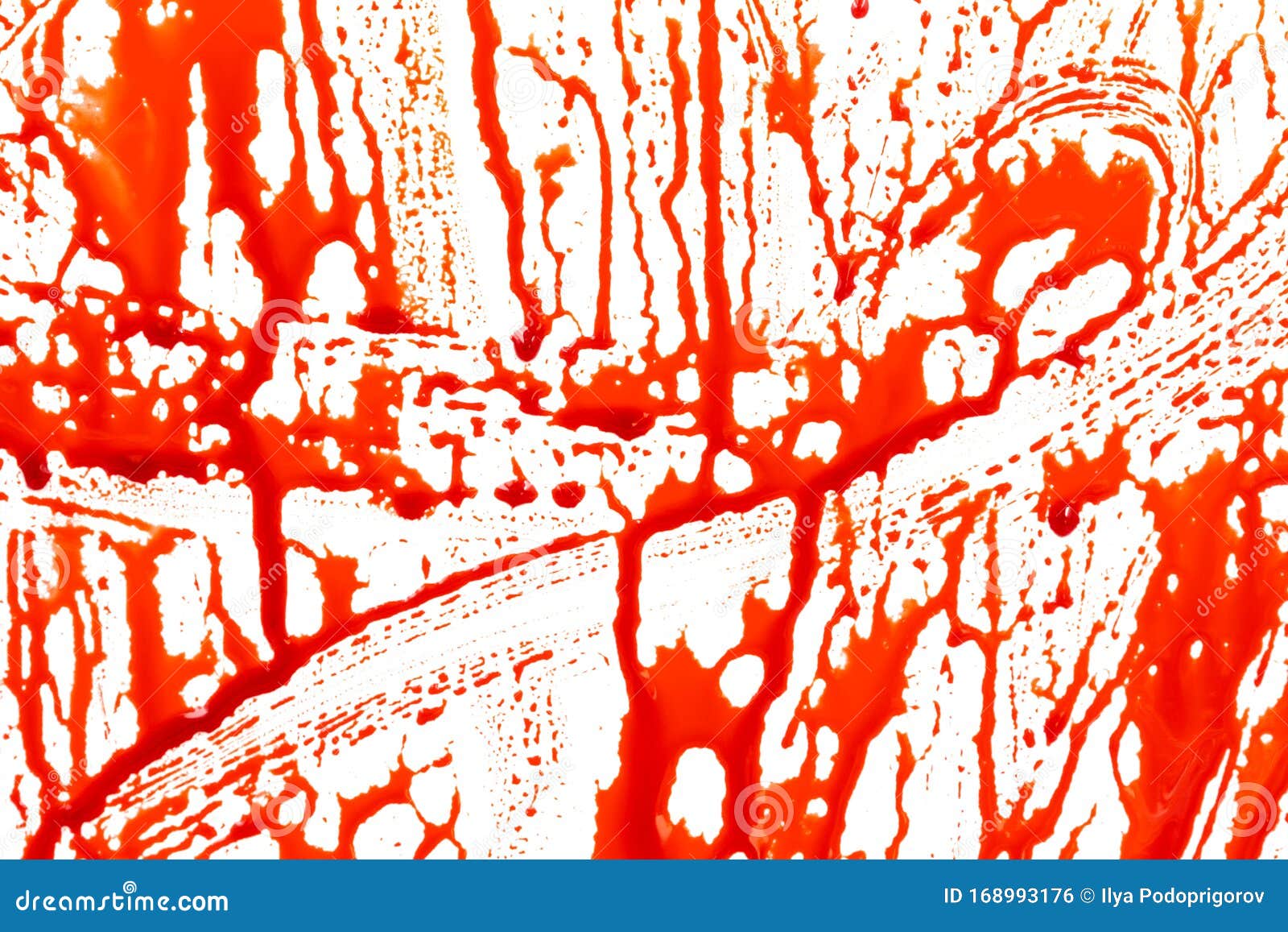 Dripping Blood Isolated on White Background. Flowing Red Blood Splashes ...