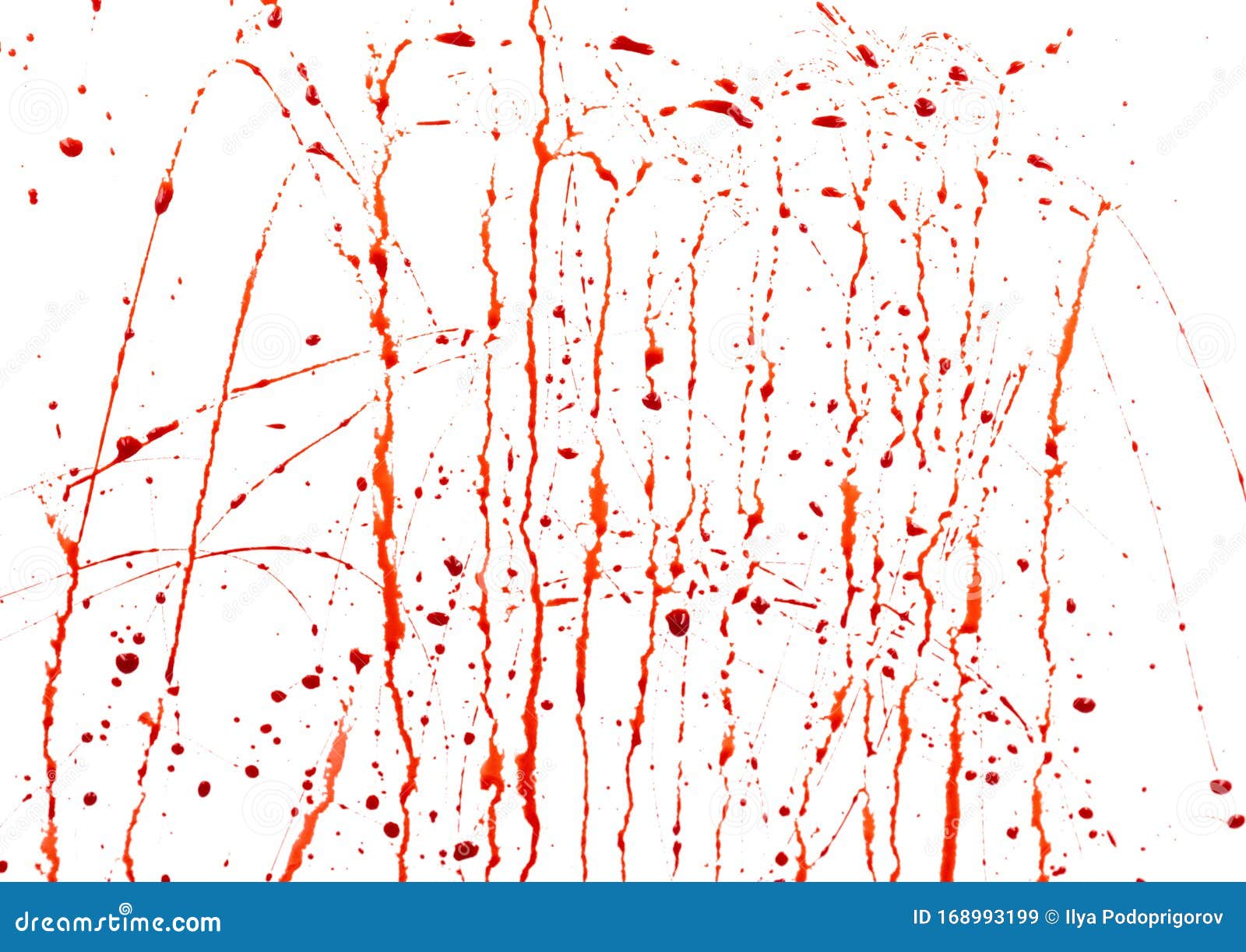 Dripping Blood Isolated on White Background. Flowing Red Blood Splashes ...