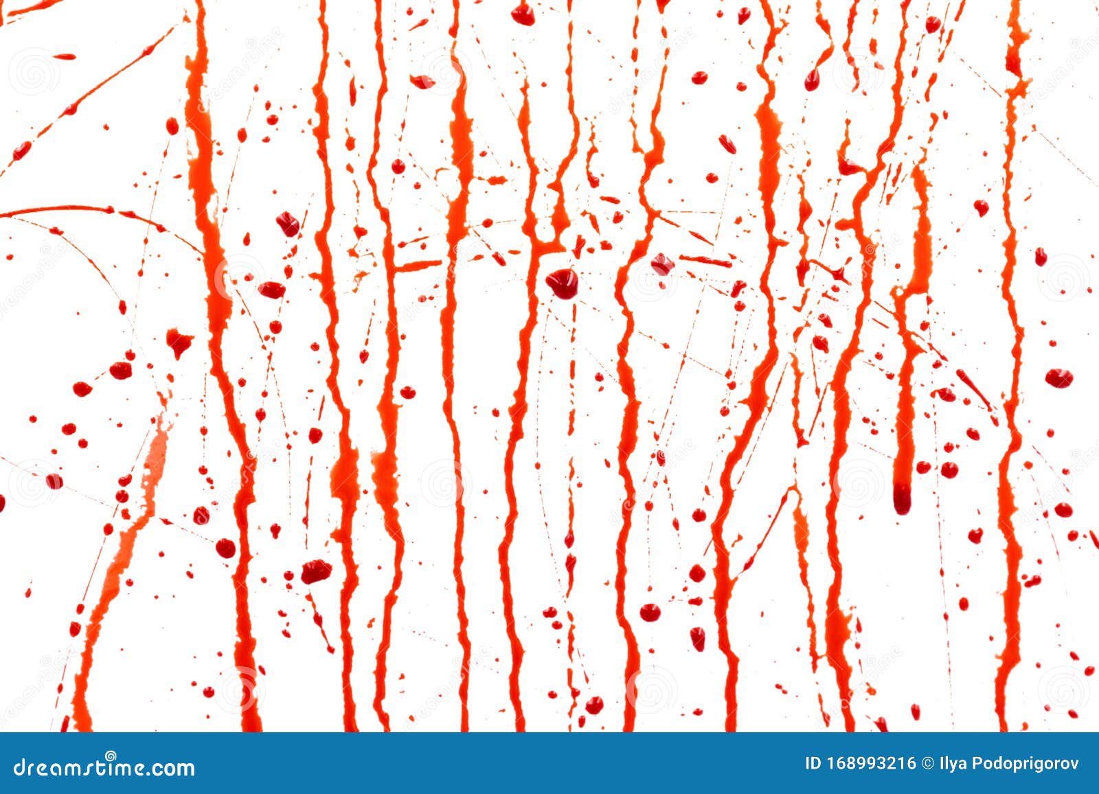 Dripping Blood Isolated on White Background. Flowing Red Blood Splashes ...