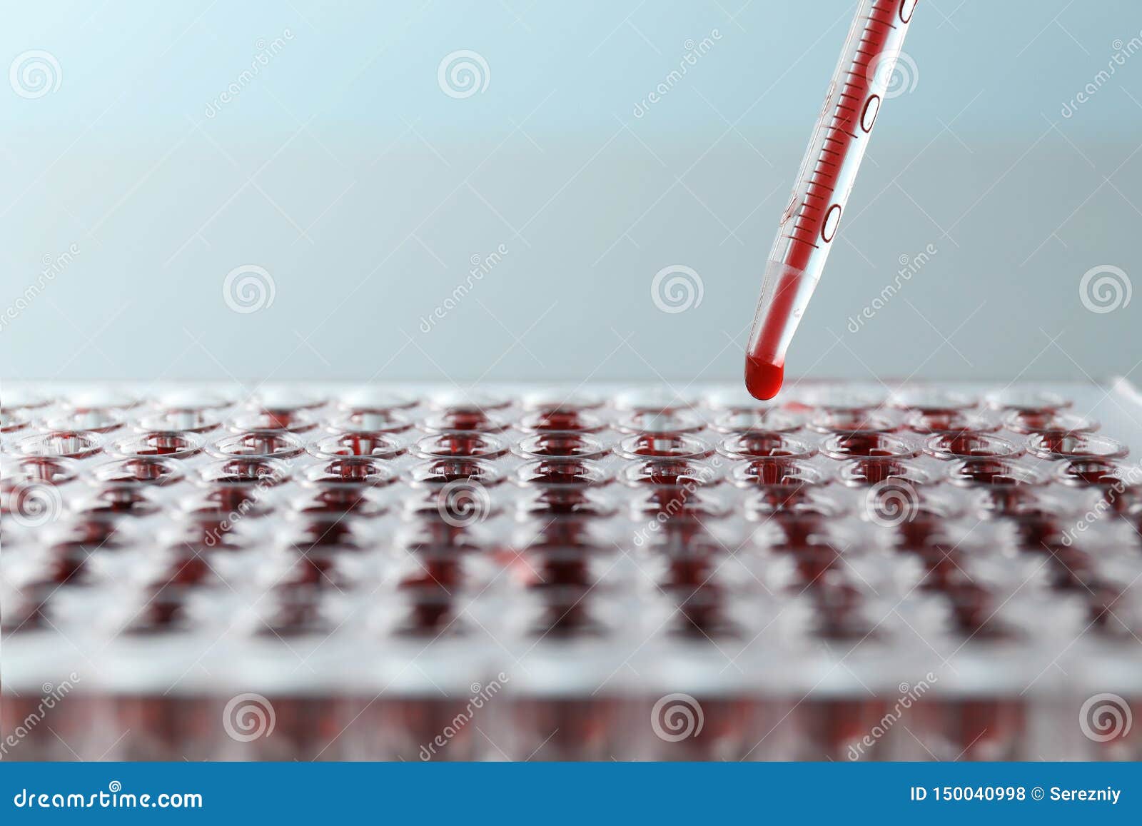 Dripping Blood into Test Tubes, Closeup Stock Photo - Image of ...