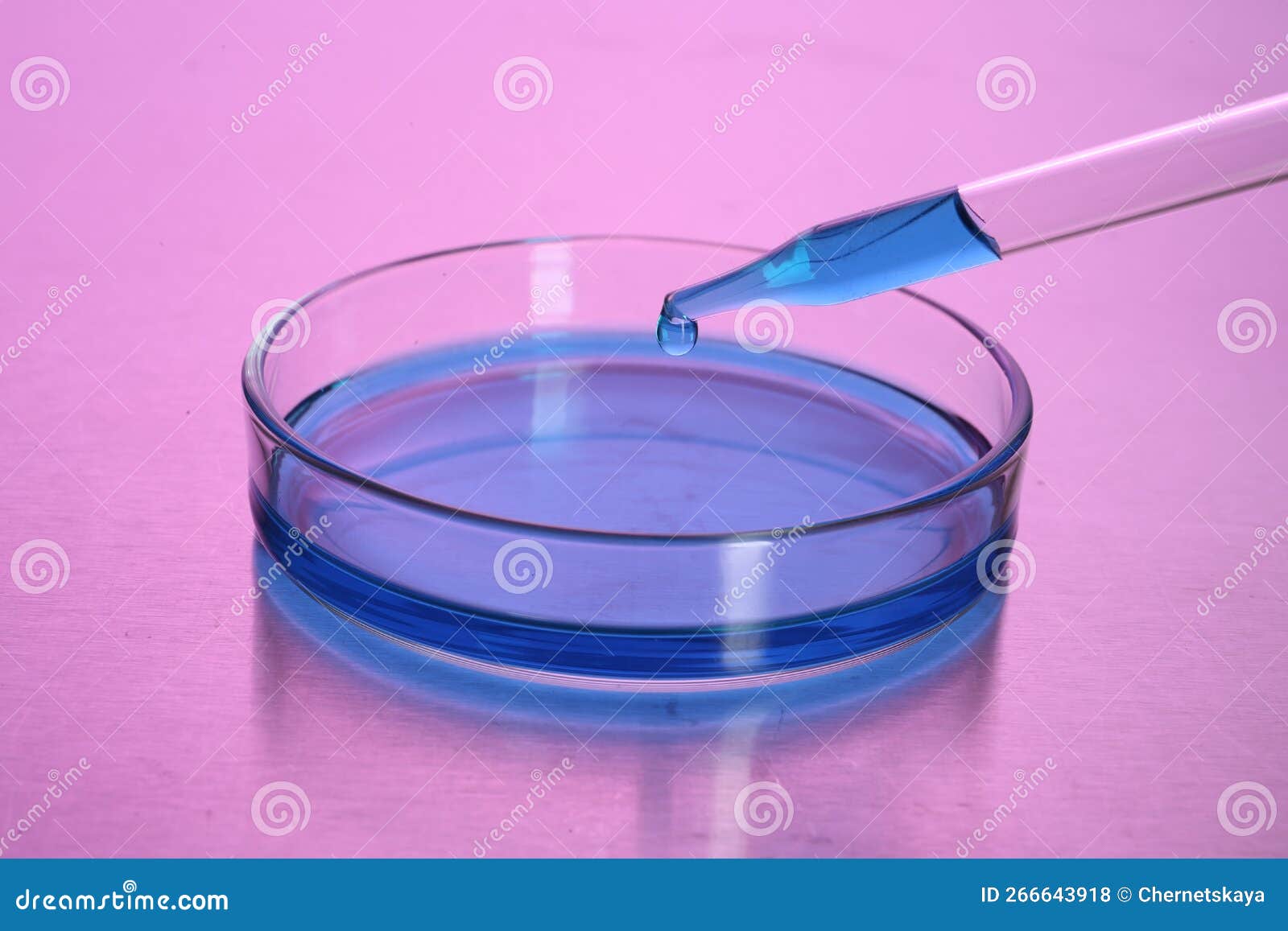 Dripping Blue Liquid into Petri Dish with Sample on Table, Toned in ...