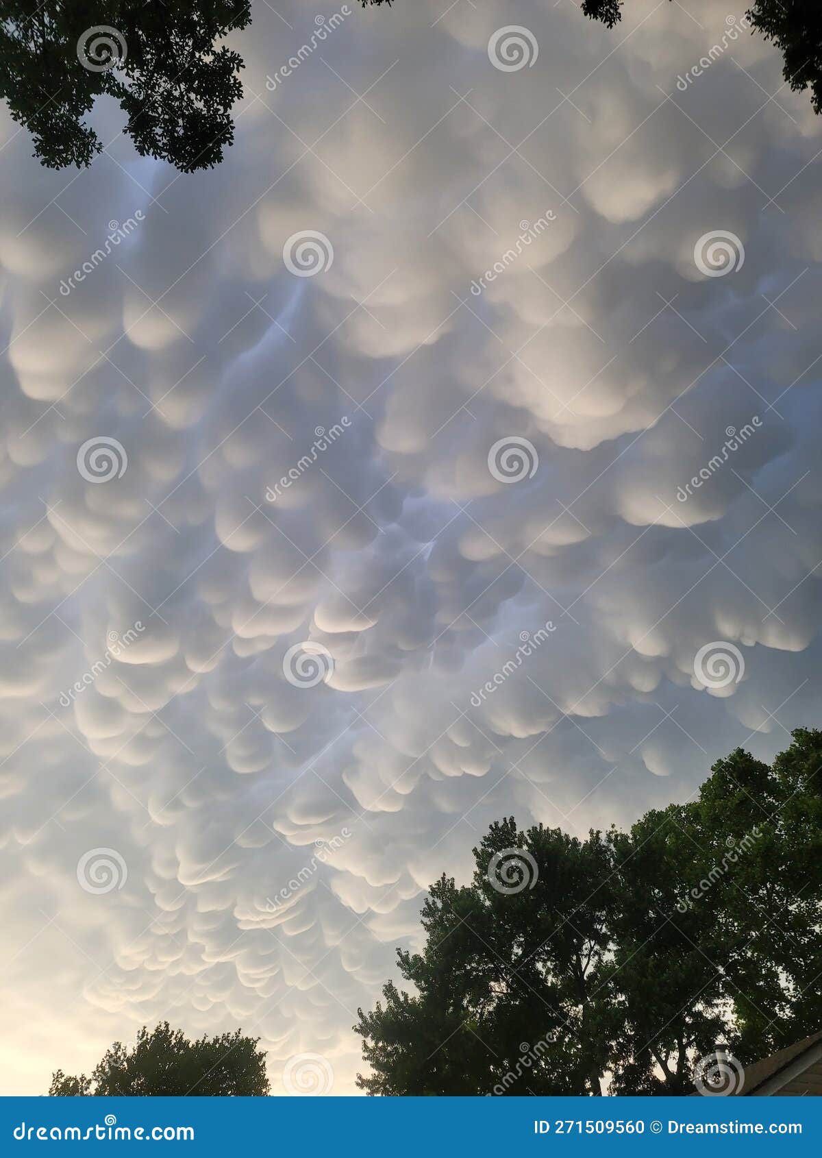 The Dripping Cloud stock photo. Image of snow, cloud - 271509560