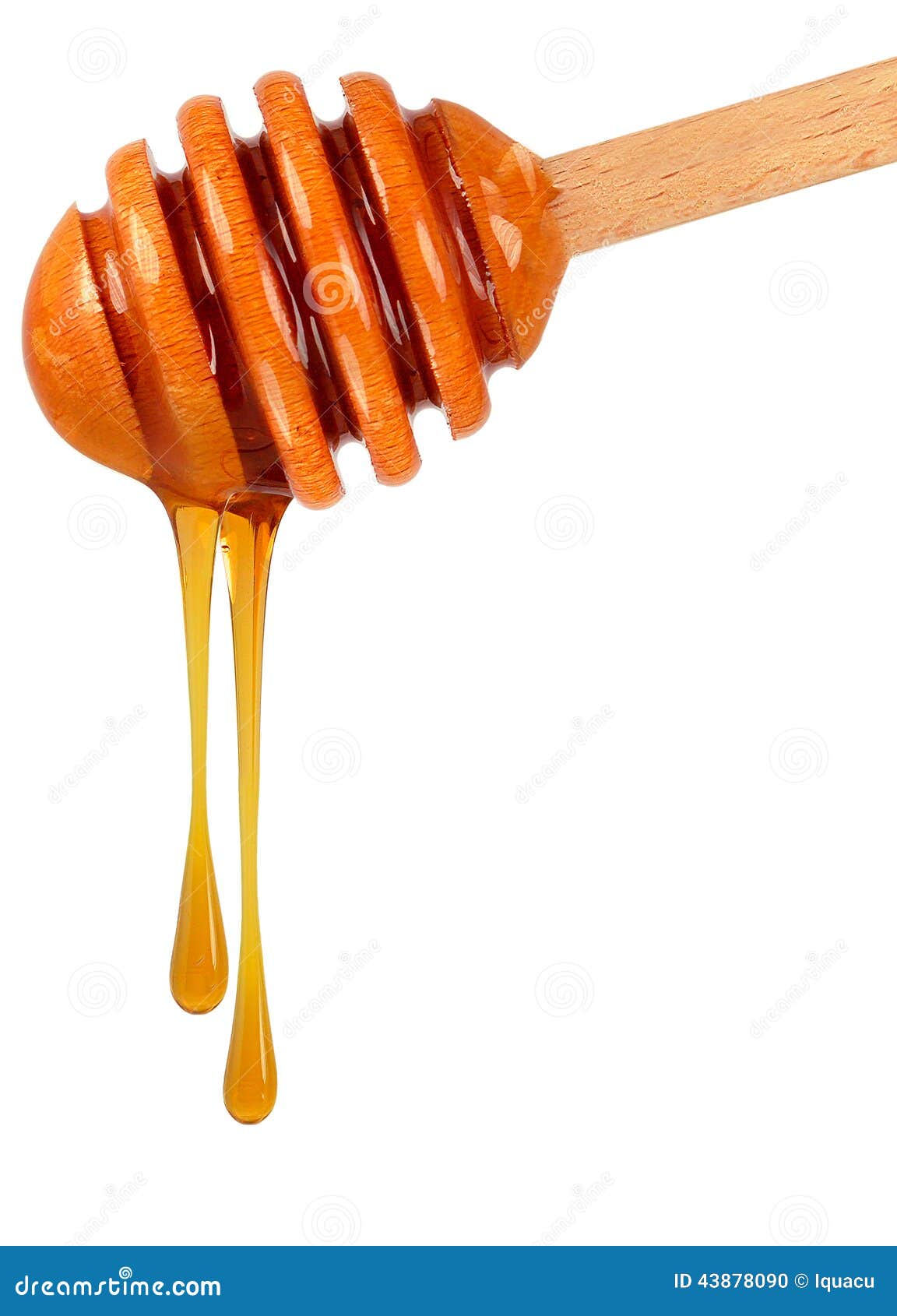 Dripping honey stock photo. Image of organic, golden - 43878090