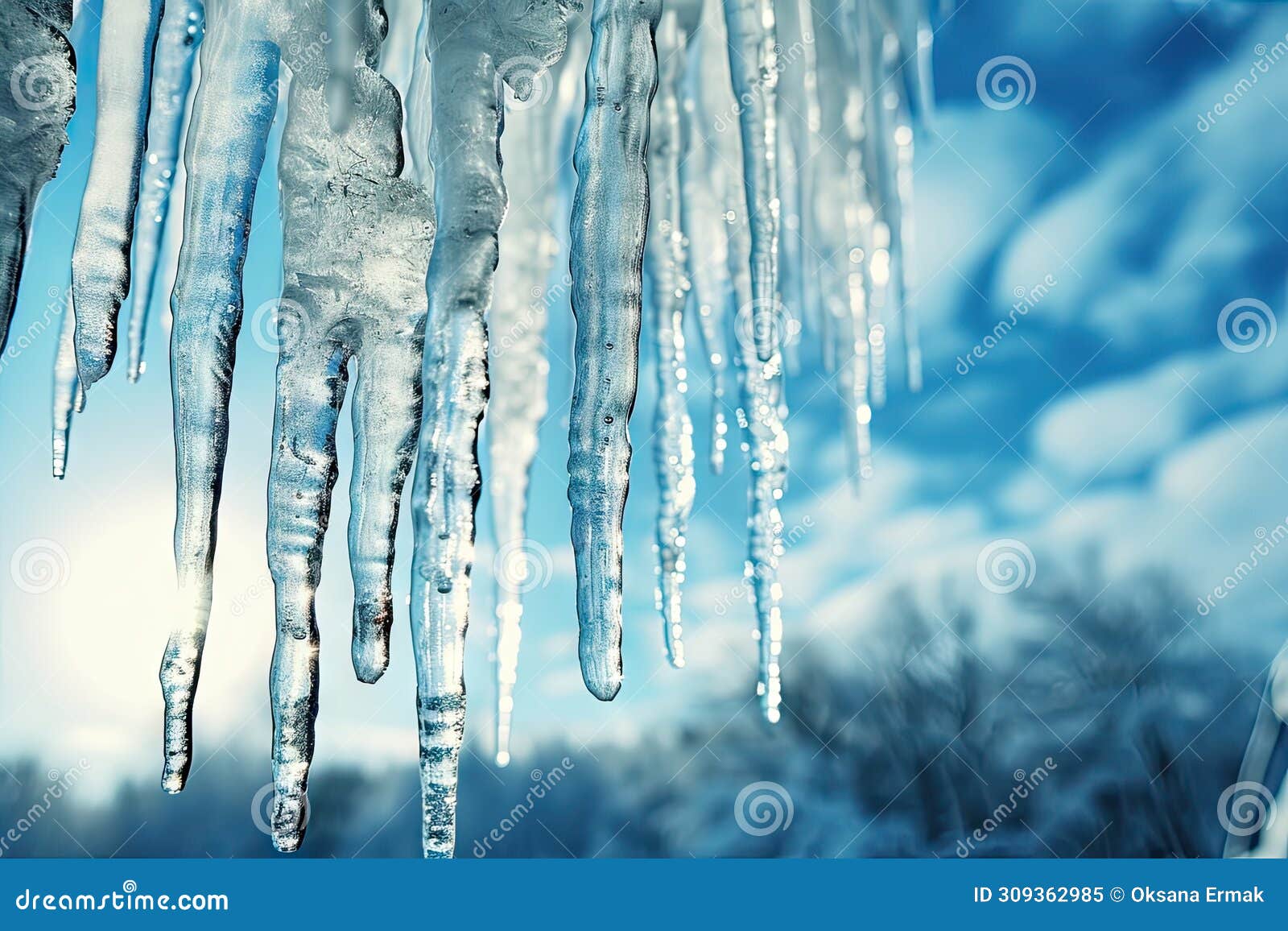 Dripping Icicles on Blue Background, Many Melting Icicles, Clean Water ...
