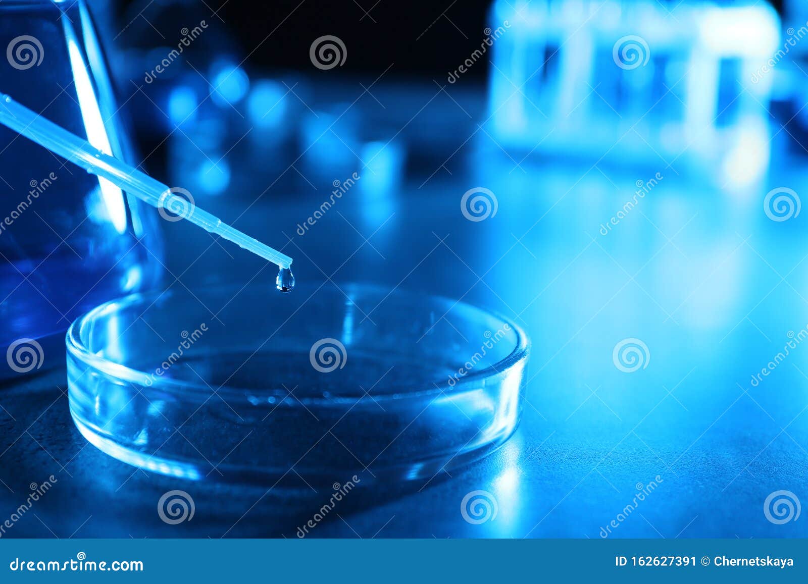 Dripping Liquid into Petri Dish. Laboratory Analysis Stock Image ...
