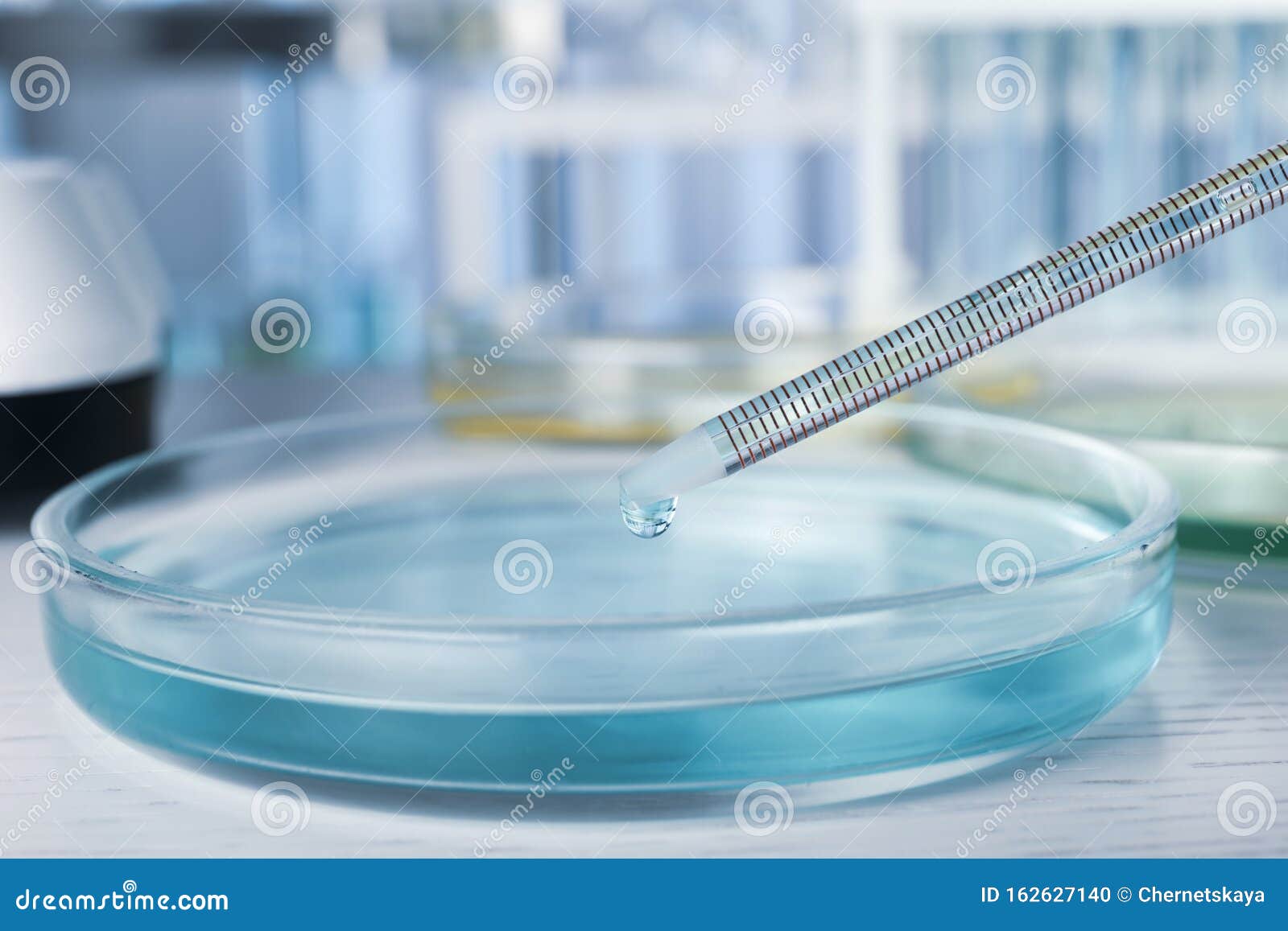 Dripping Liquid into Petri Dish. Laboratory Analysis Stock Photo ...
