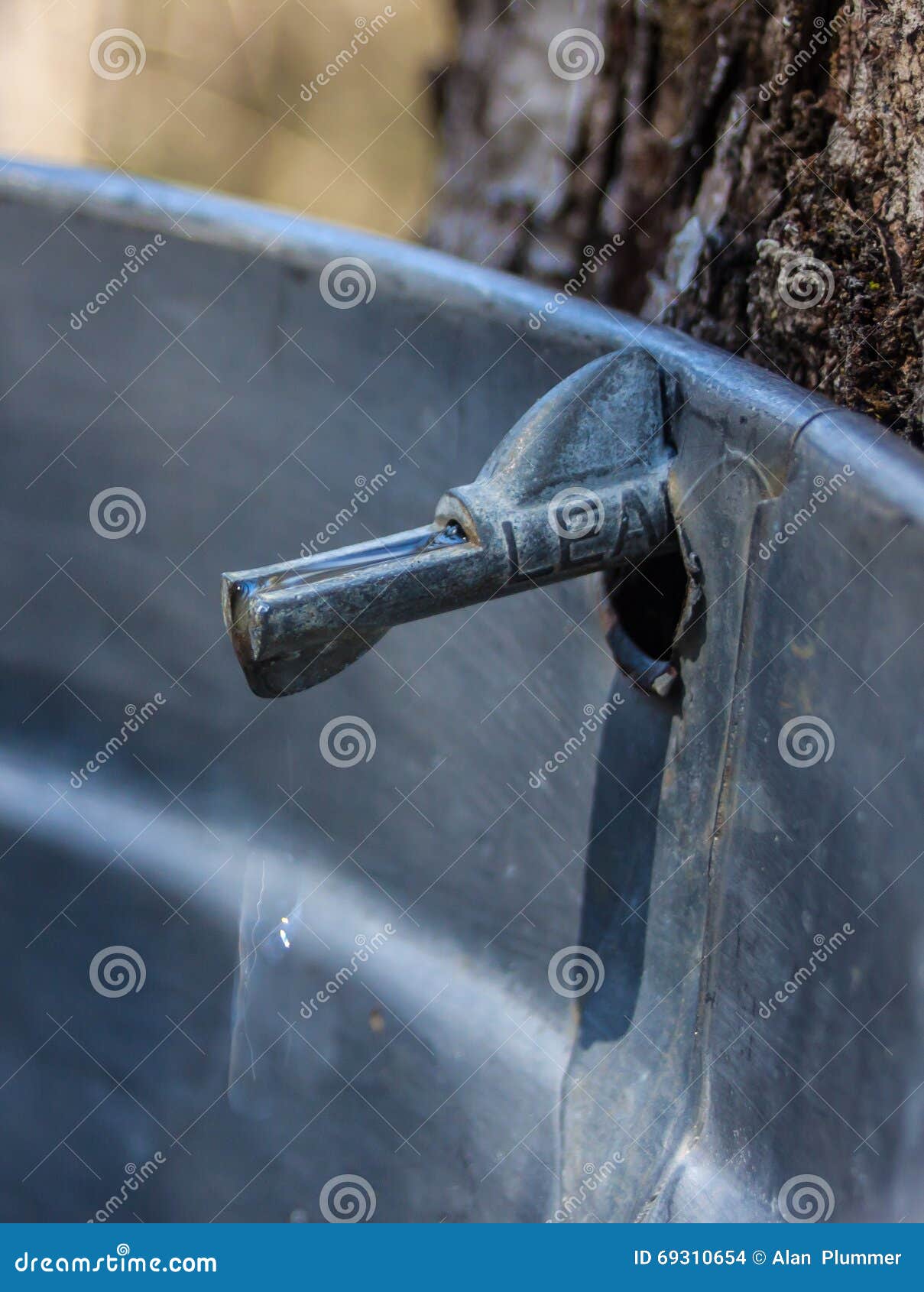 Maple Sap Bucket And Spigot Royalty-Free Stock Photography ...