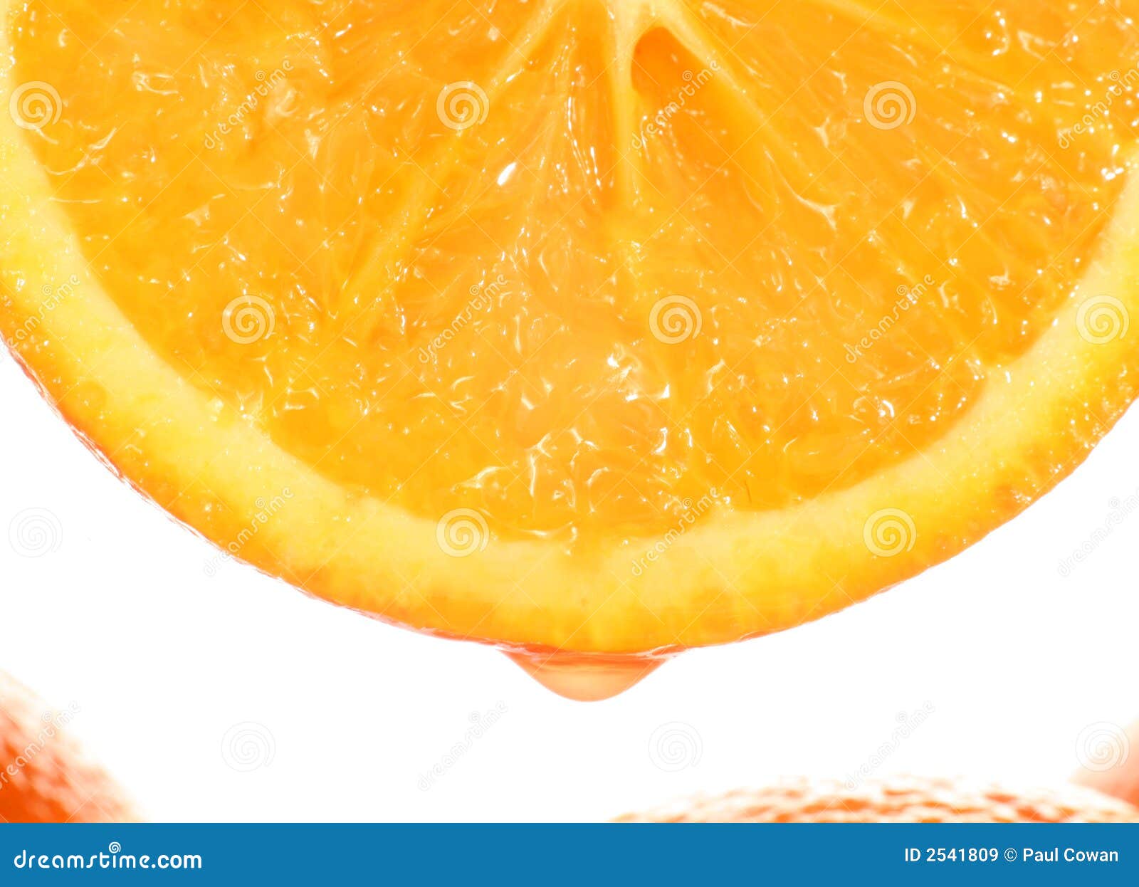 Dripping orange stock image. Image of macro, eating, juice - 2541809