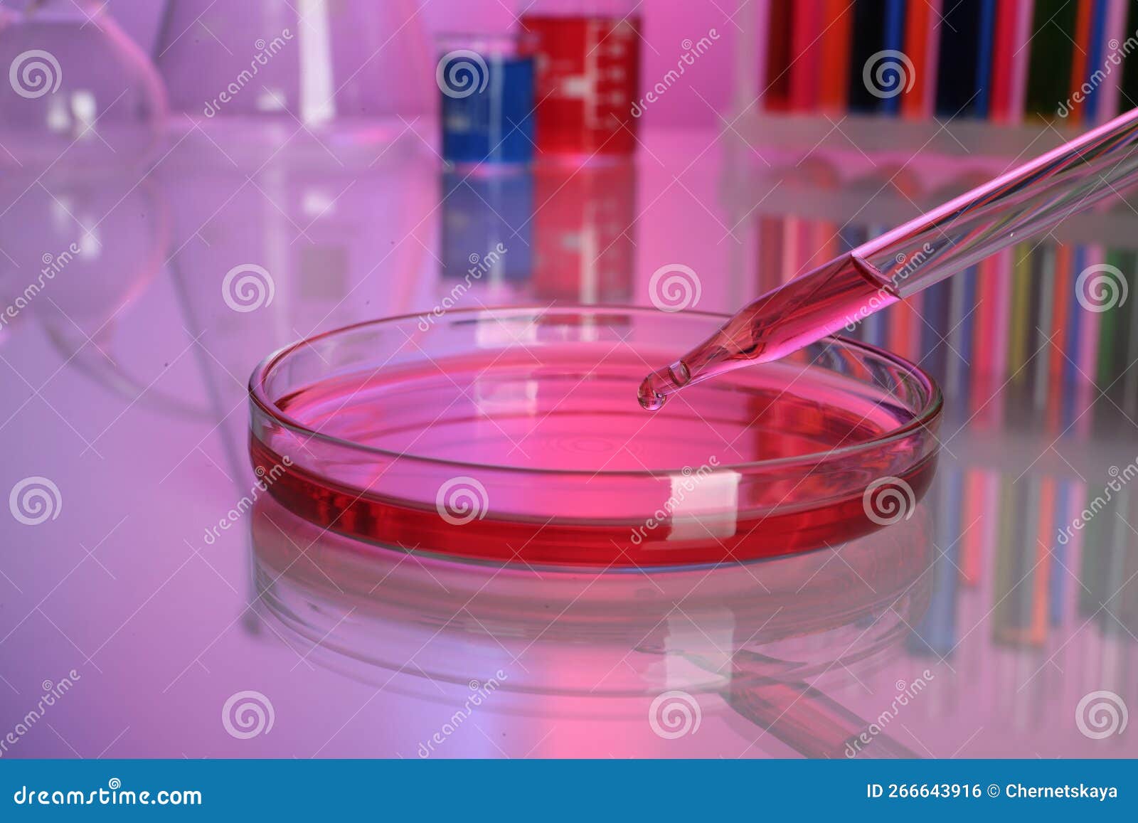 Dripping Red Reagent into Petri Dish with Sample on Table, Closeup ...