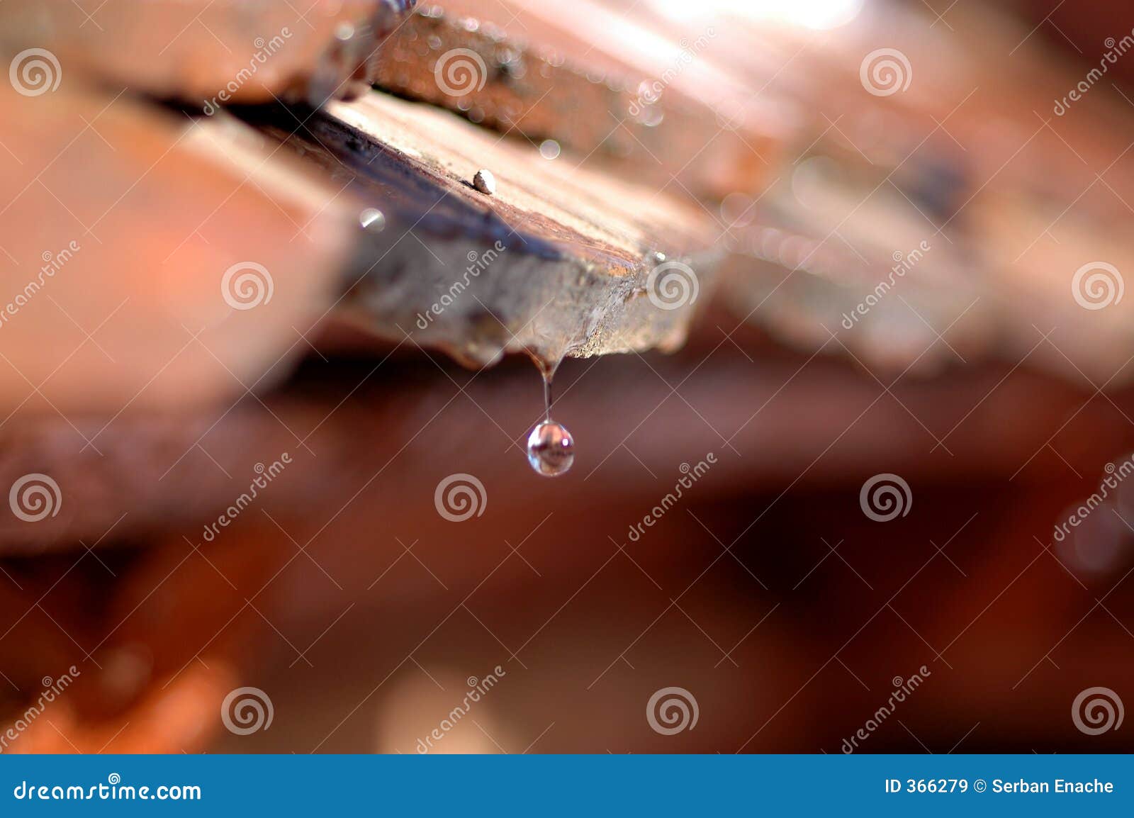 Dripping roof - waterdrops stock image. Image of pantiles - 366279