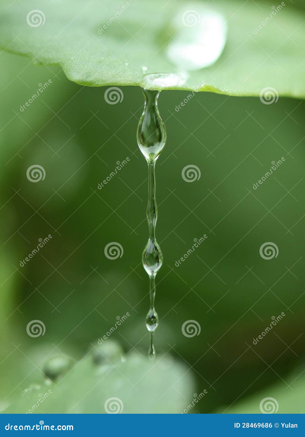 Dripping water drops stock photo. Image of outdoor, catch - 28469686