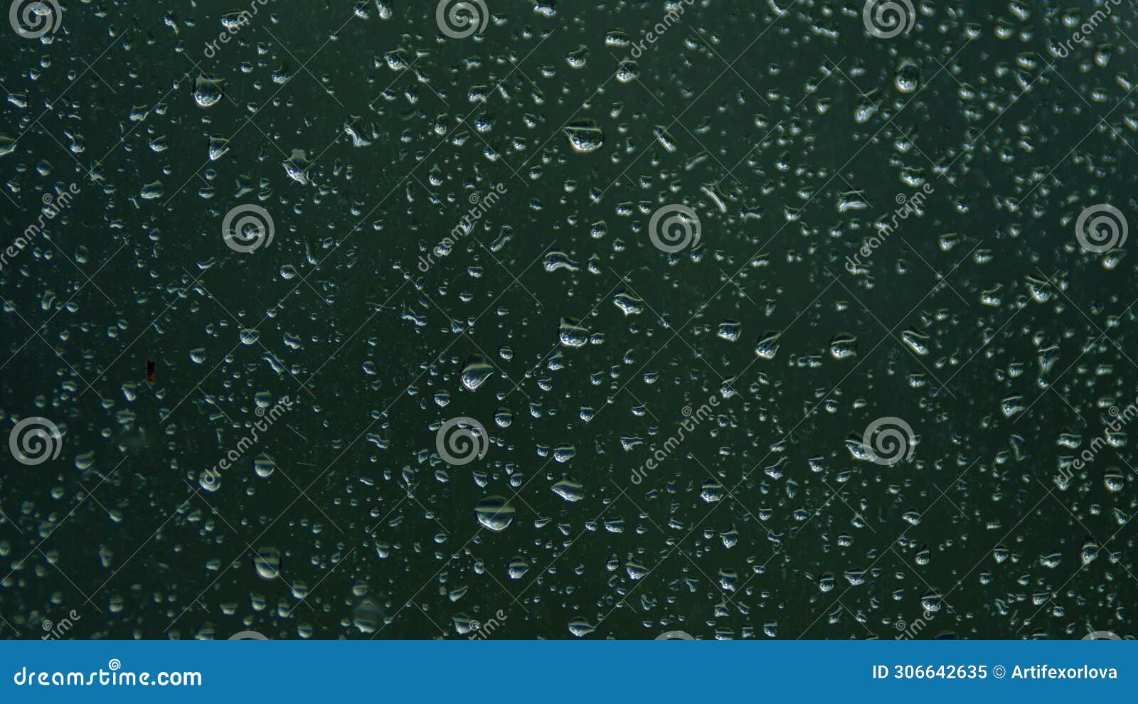 Dripping Water on Glass Surface. Water Droplets on Glass. Static View ...