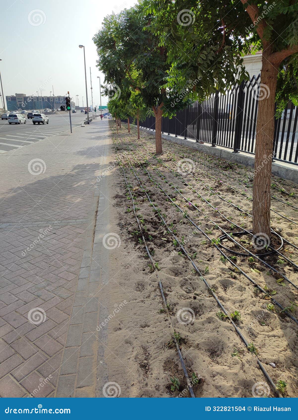 Dripping Water Irrigation System in Dubai Uae Stock Photo - Image of ...