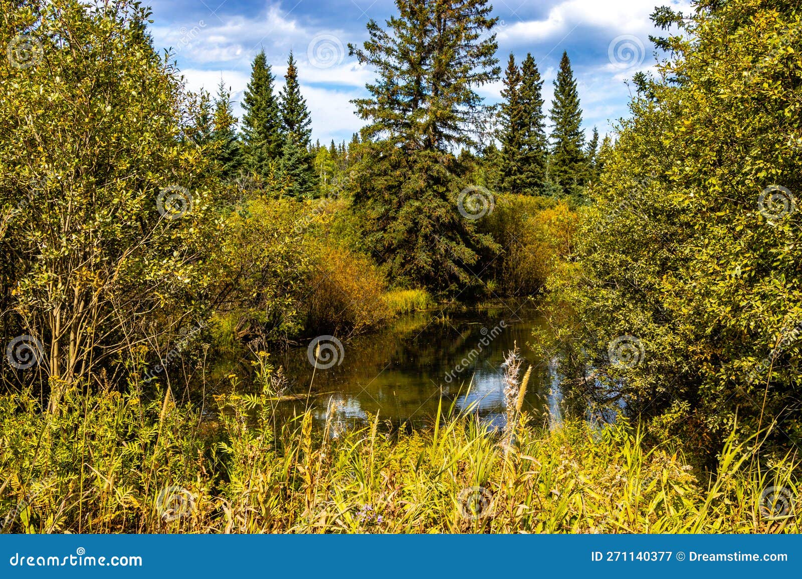A Drive Around Clearwater County Alberta Canada Stock Image - Image of ...
