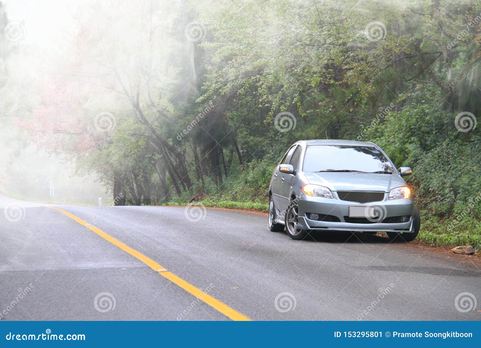 Drive the Car in Forest with the Mist Stock Image - Image of driving ...