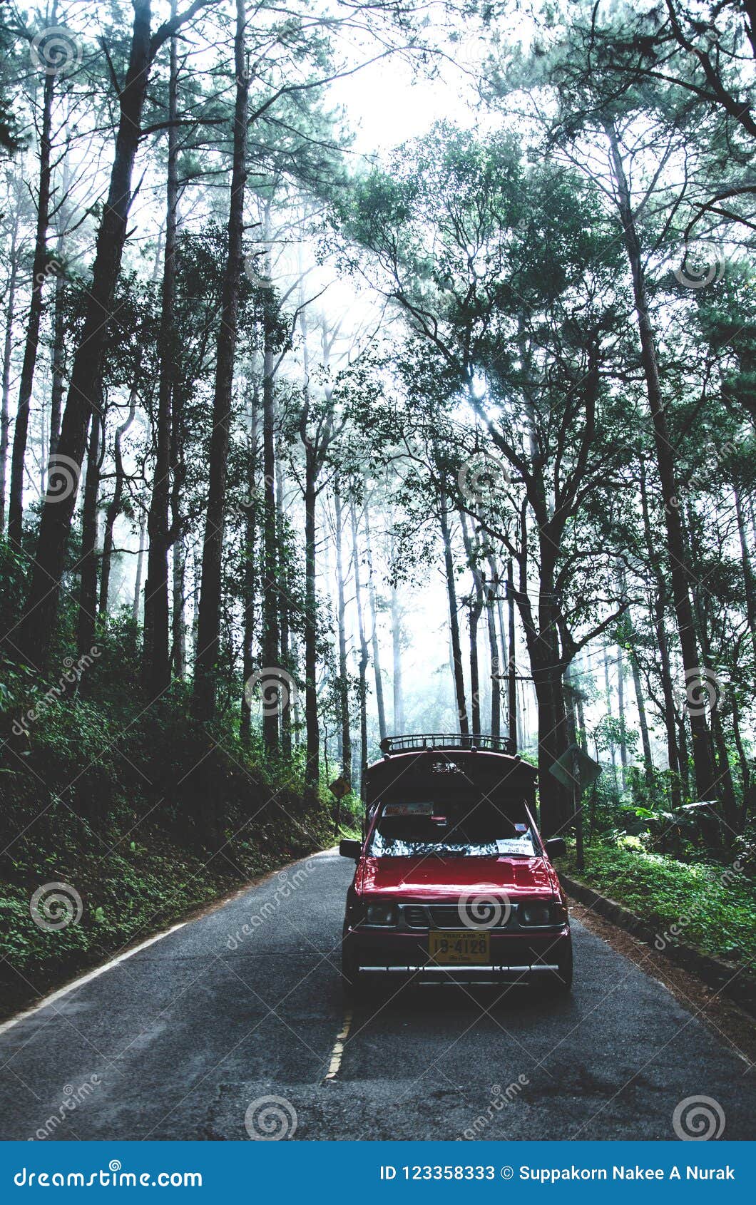 Drive on the Road To the Forest. Editorial Stock Photo - Image of ...