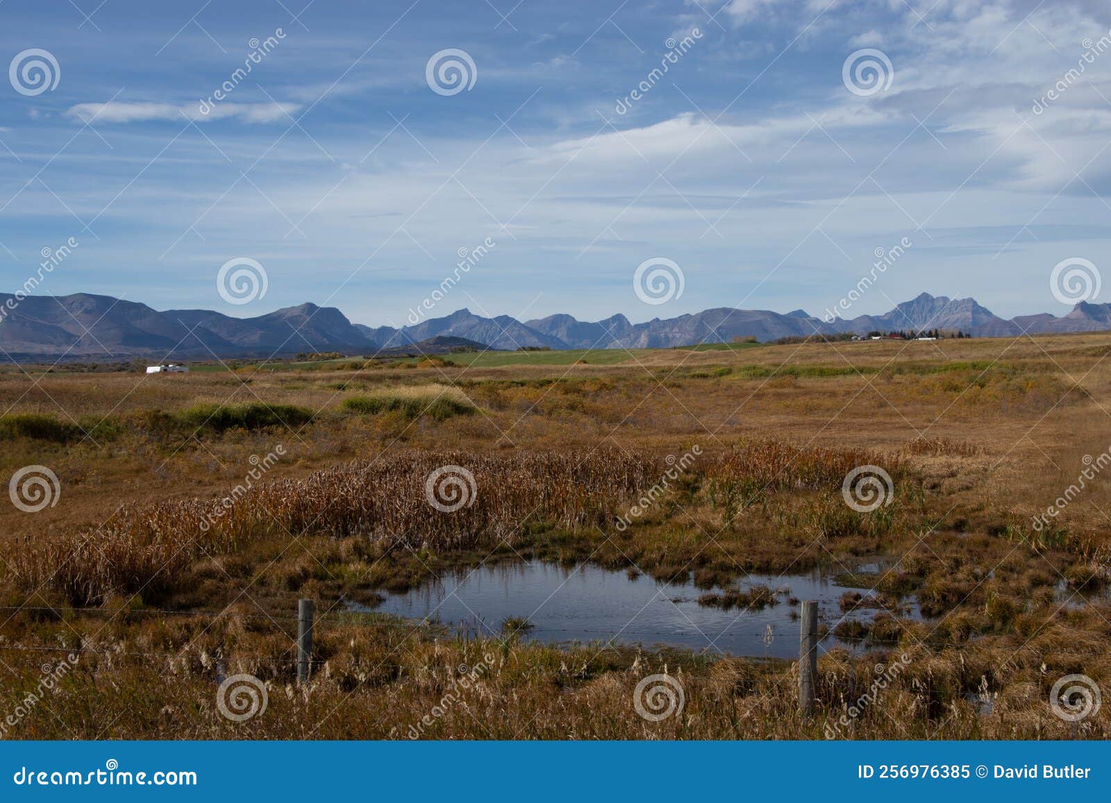 A Drive in Cardston County Alberta Canada Stock Image - Image of summer ...