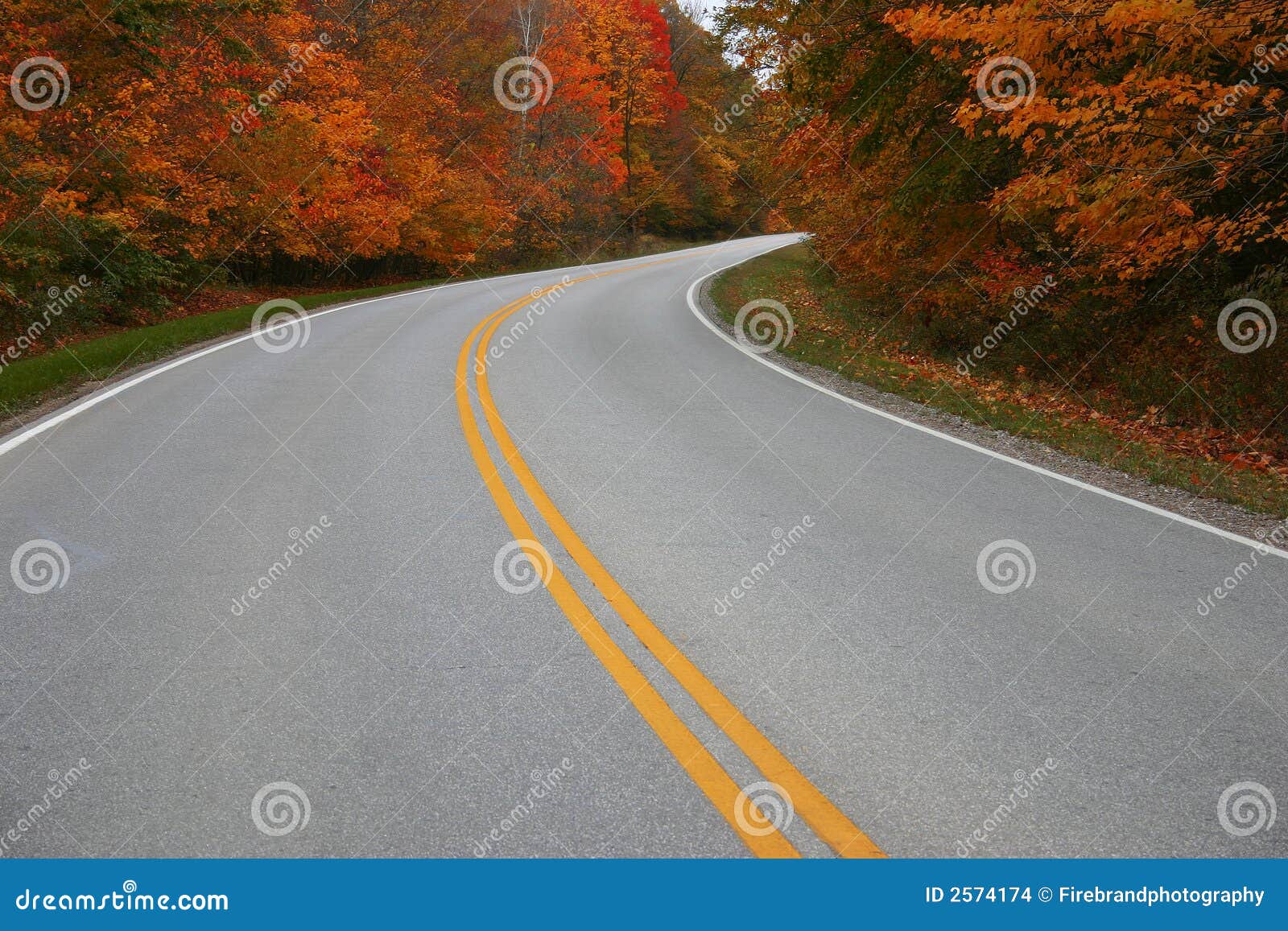 Drive into fall stock photo. Image of forest, color, lane - 2574174