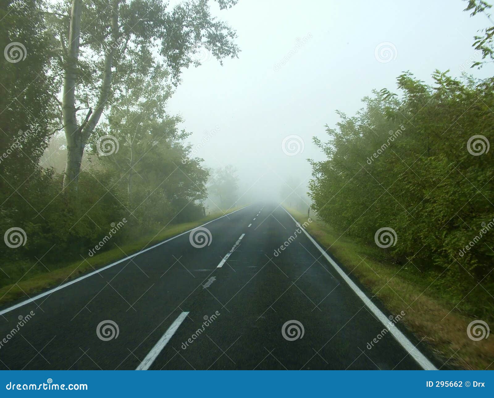 Drive on fog road stock photo. Image of damage, careful - 295662