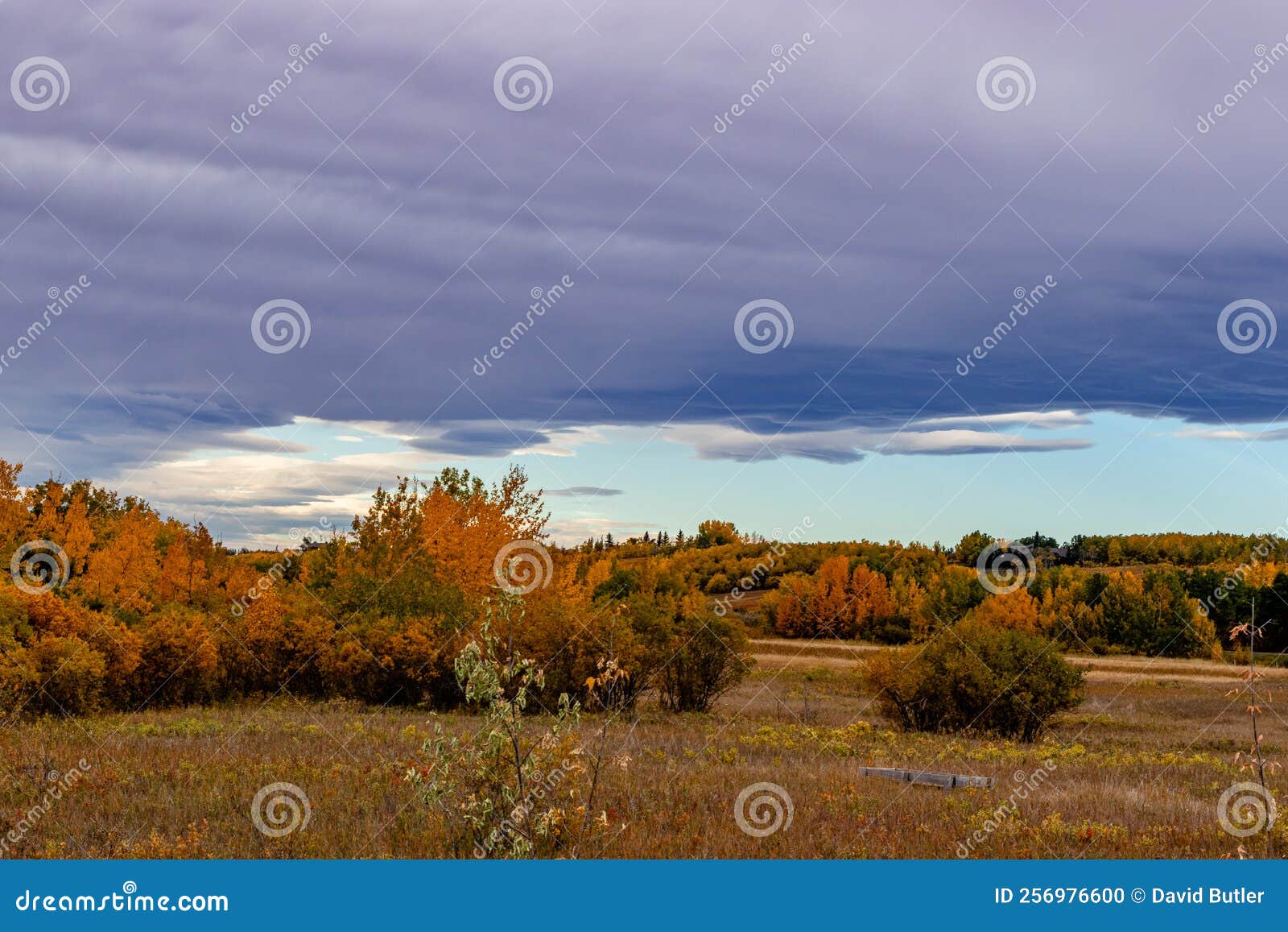 A Drive through Foothills County Alberta Canada Stock Photo - Image of ...