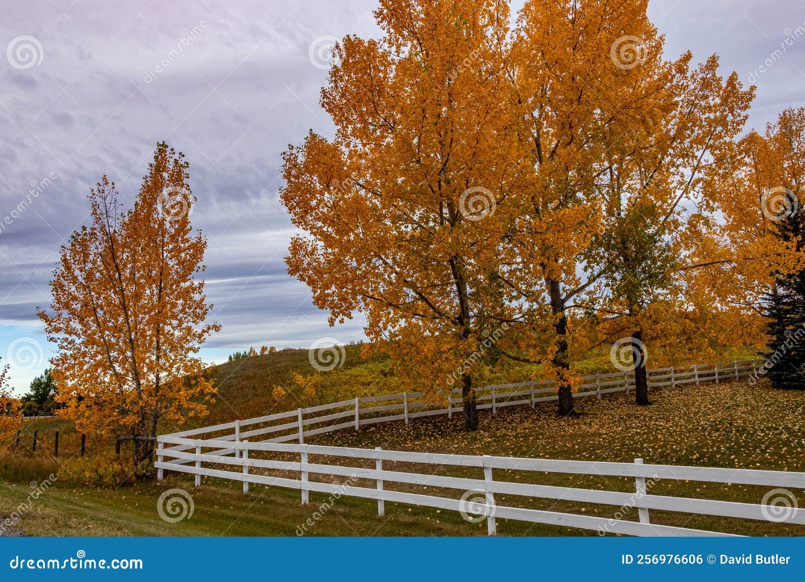 A Drive through Foothills County Alberta Canada Stock Photo - Image of ...