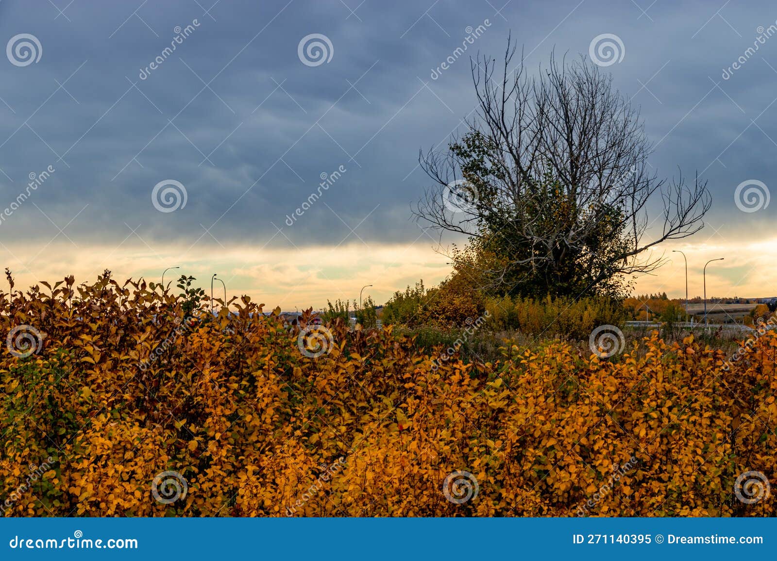 A Drive through Foothills County Alberta Canada Stock Image - Image of ...