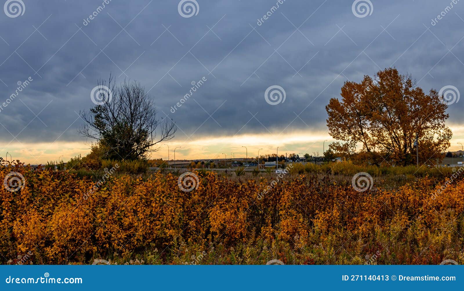 A Drive through Foothills County Alberta Canada Stock Image - Image of ...