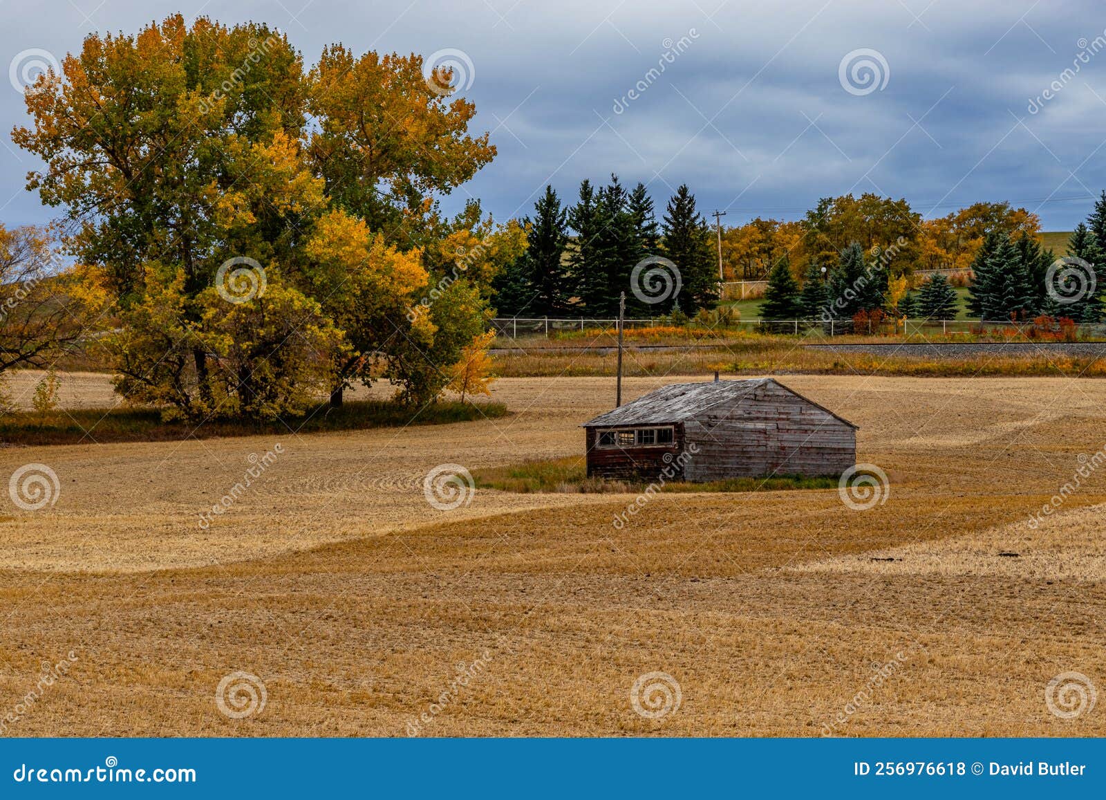 A Drive through Foothills County Alberta Canada Stock Photo - Image of ...