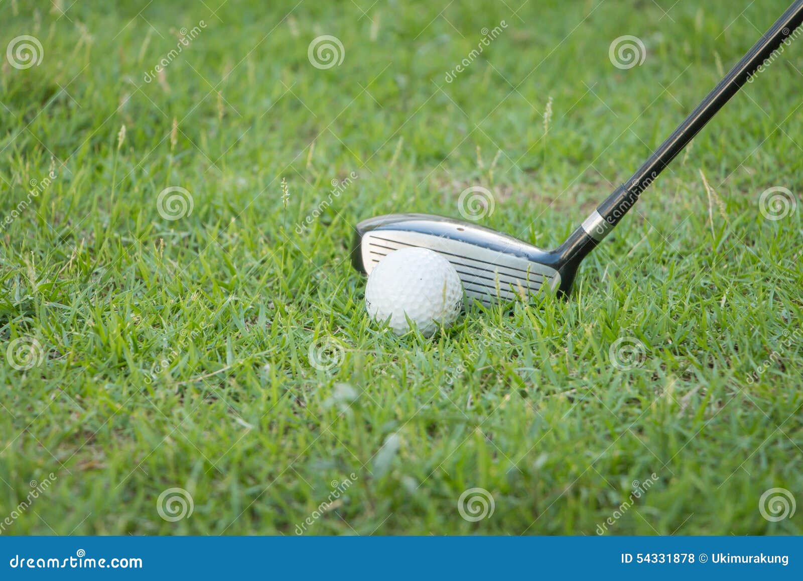 Drive golf on the grass stock photo. Image of rule, ground - 54331878